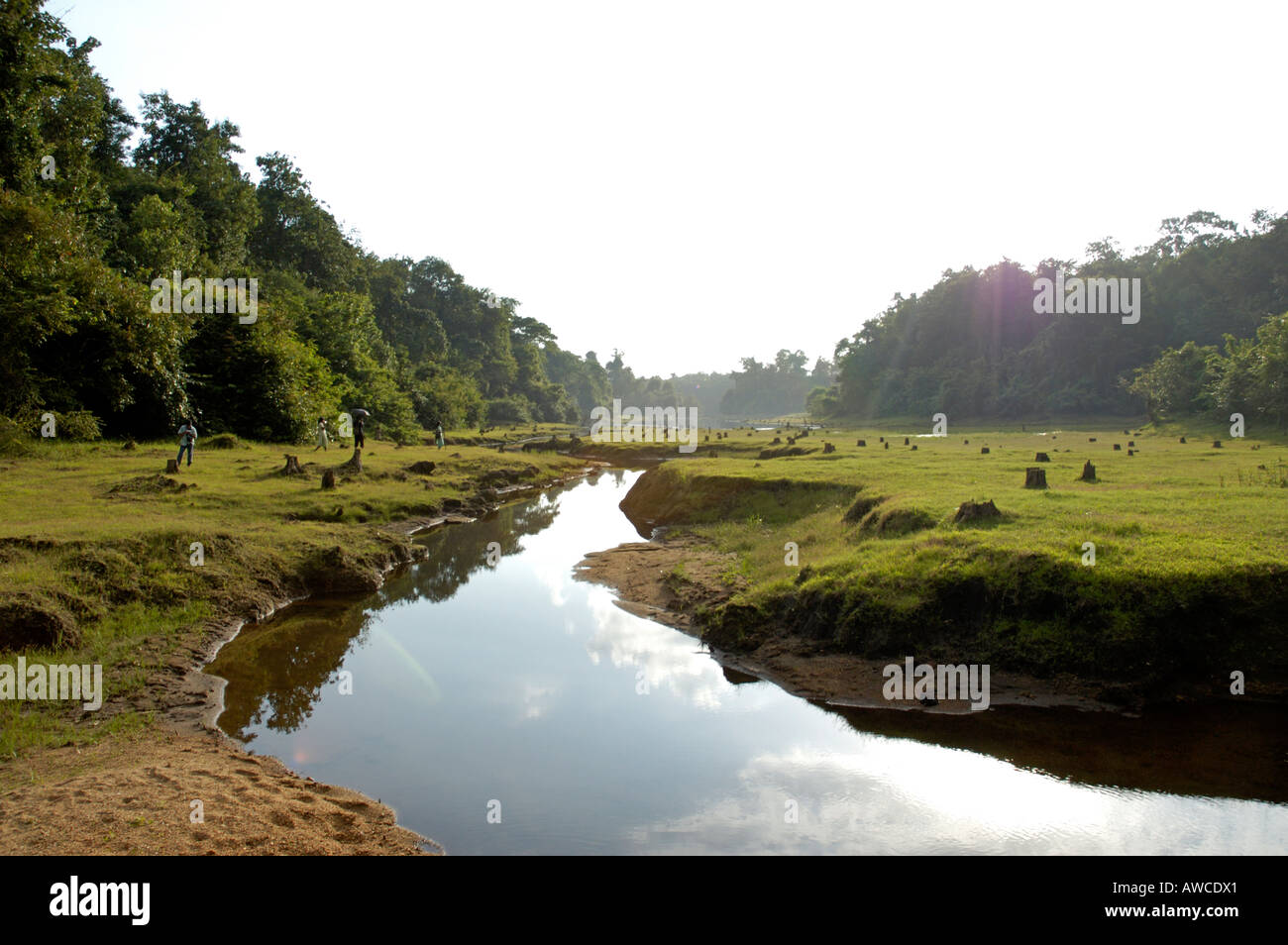 WATER BODY THATTEKKAD BIRD SANCTUARY Stock Photo - Alamy