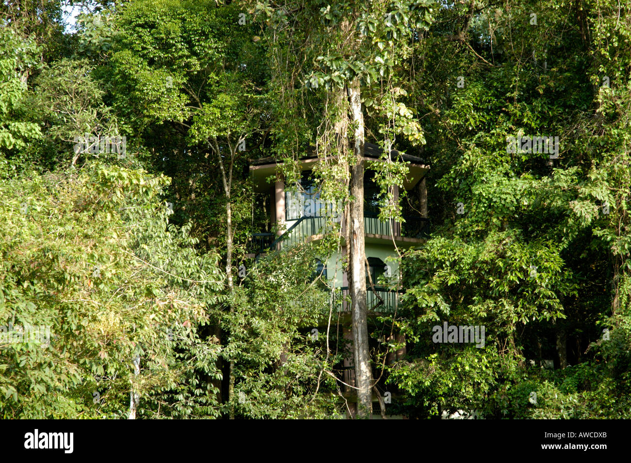 BIRD WATCH TOWER THATTEKKAD BIRD SANCTUARY Stock Photo - Alamy