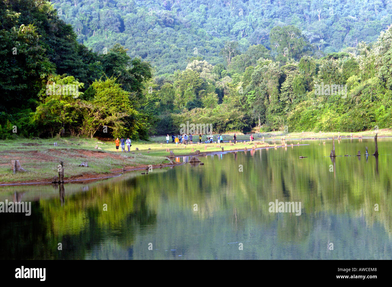 TOURISTS INSIDE THATTEKKAD BIRD SANCTUARY Stock Photo - Alamy