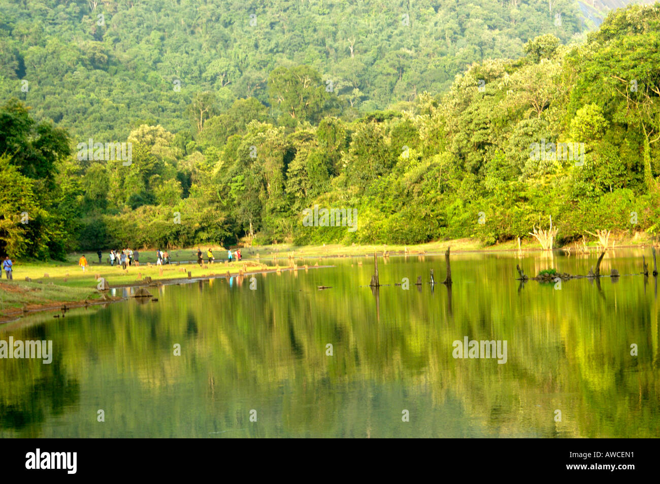 Thattekkad bird sanctuary hi-res stock photography and images - Alamy