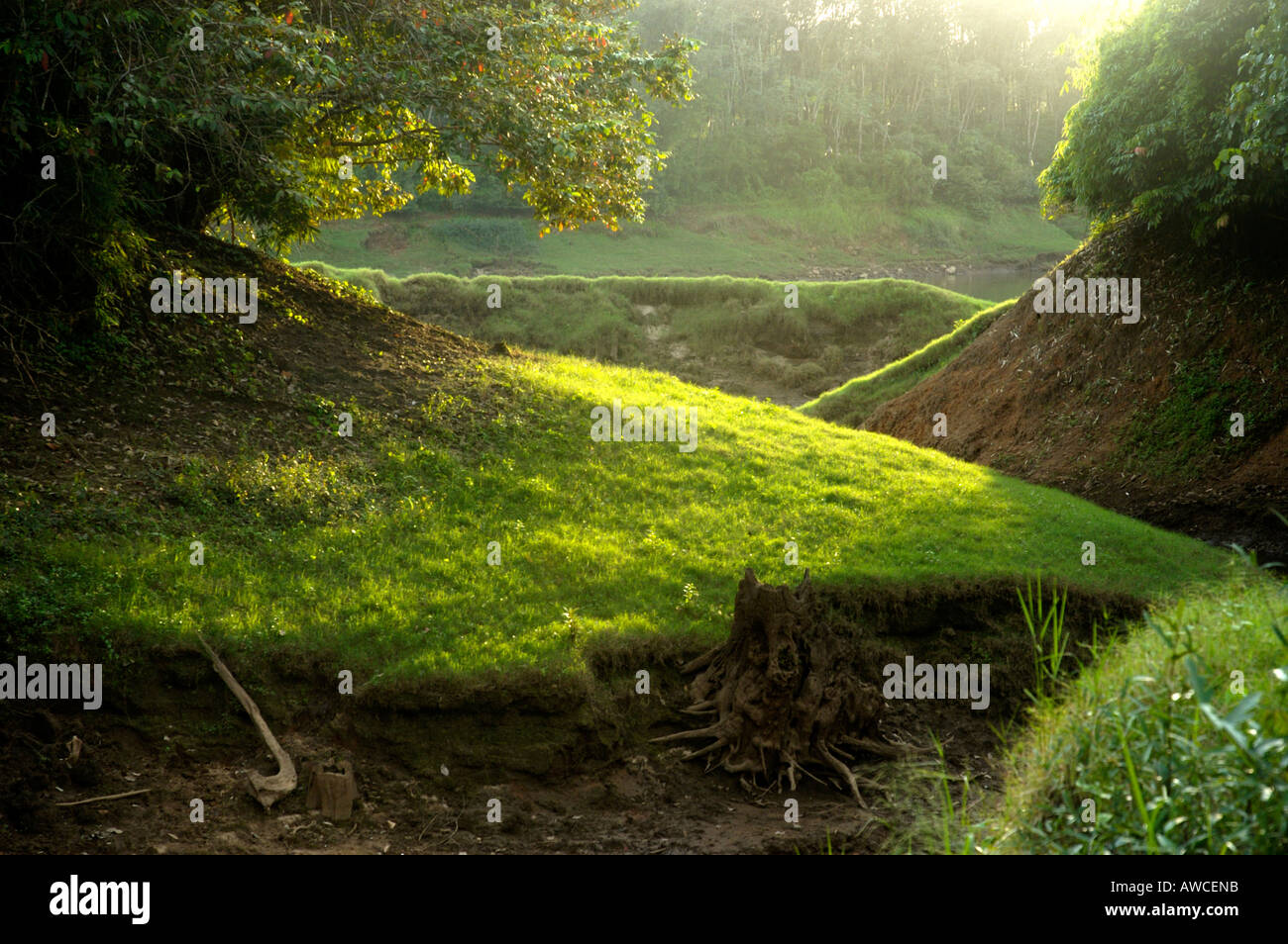 LANDSCAPE THATTEKKAD BIRD SANCTUARY Stock Photo - Alamy