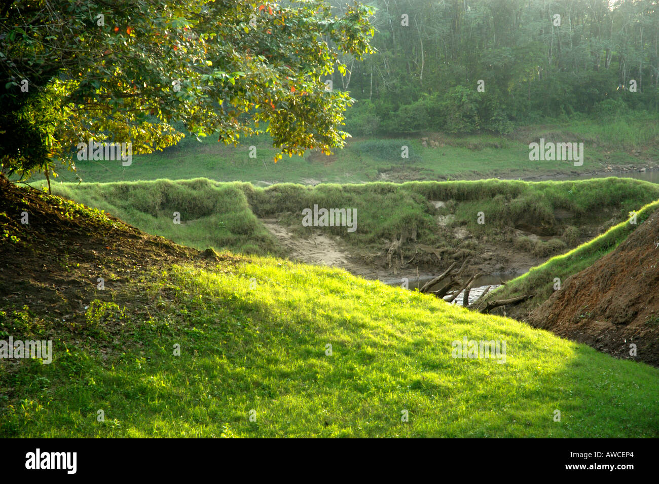 LANDSCAPE THATTEKKAD BIRD SANCTUARY Stock Photo - Alamy