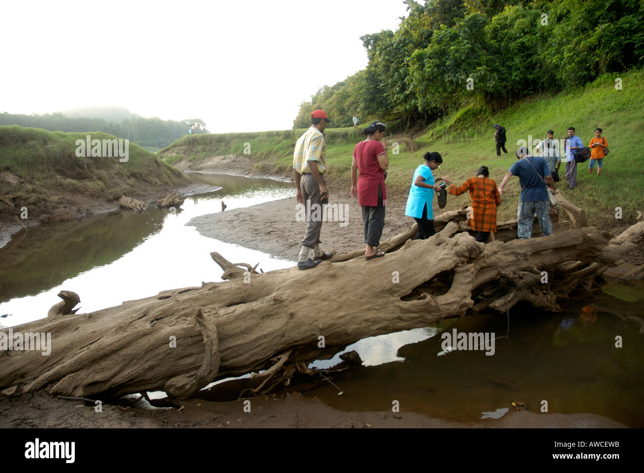 TOURISTS INSIDE THATTEKKAD BIRD SANCTUARY Stock Photo - Alamy