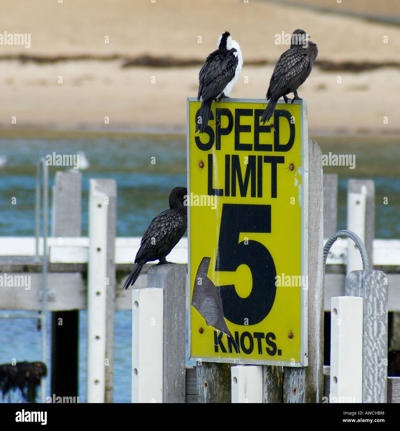 Speed limit sign 5 knots hi-res stock photography and images - Alamy