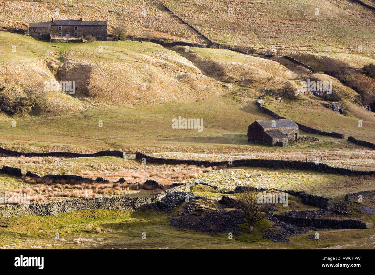 Birkdale common hi-res stock photography and images - Alamy