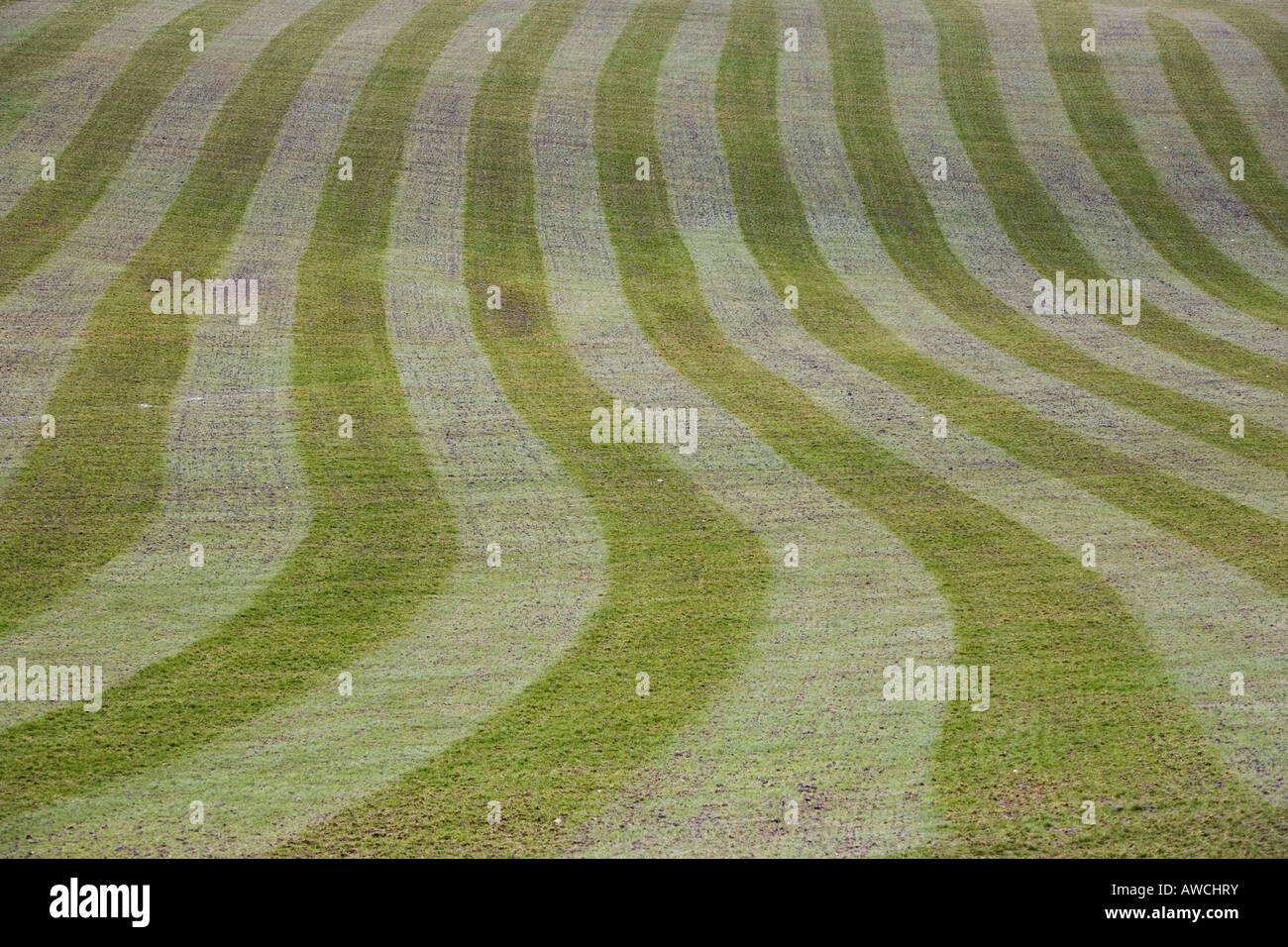Mown curves grass hi-res stock photography and images - Alamy