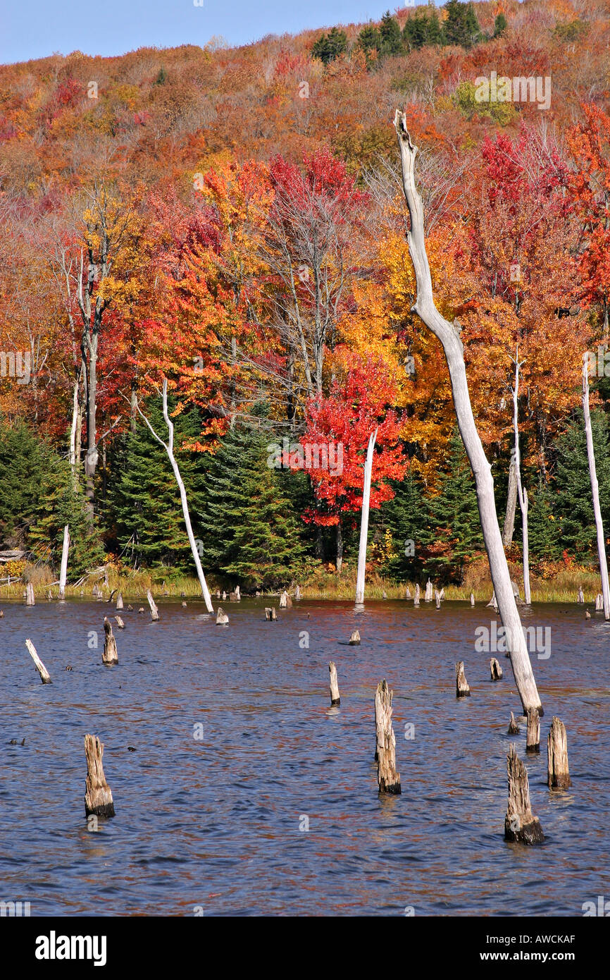 Landscape Autumn in Quebec Canada Stock Photo - Alamy