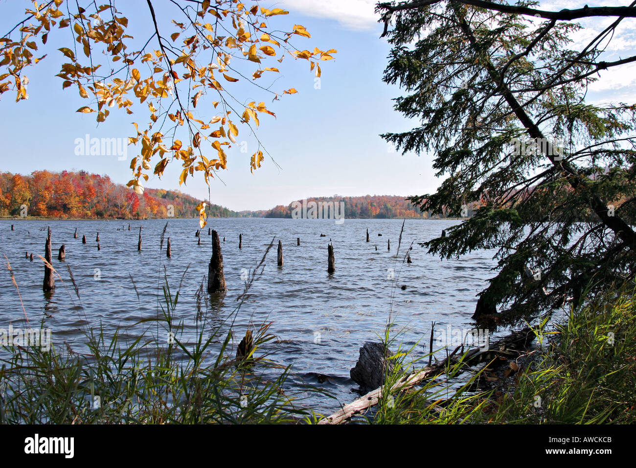 Landscape Autumn in Quebec Canada Stock Photo - Alamy