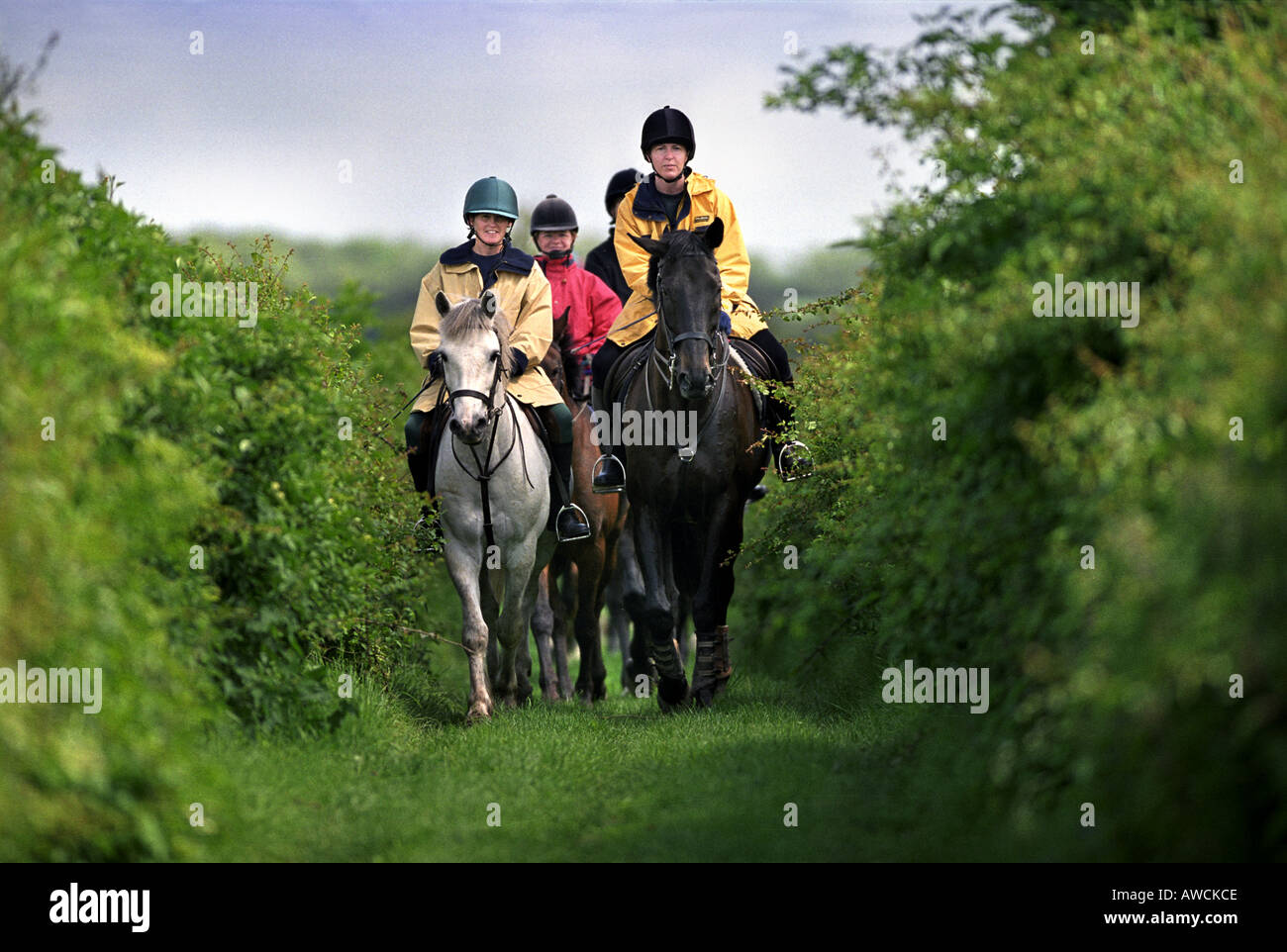 HORSE RIDERS FROM STOCKBRIDGE RIDING SCHOOL ENJOY AN OUTING ON BRIDLE ...