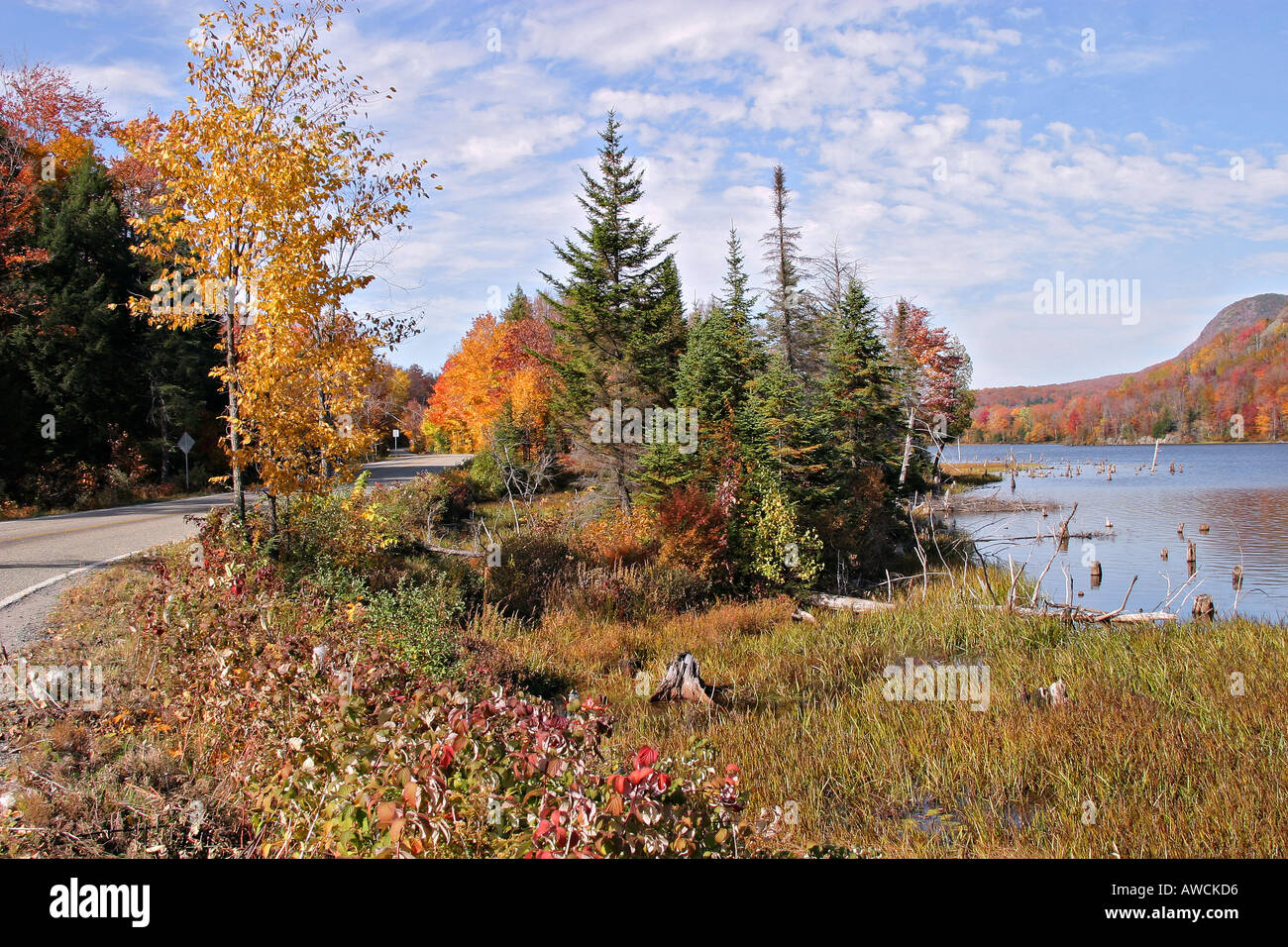 Landscape Autumn in Quebec Canada Stock Photo - Alamy