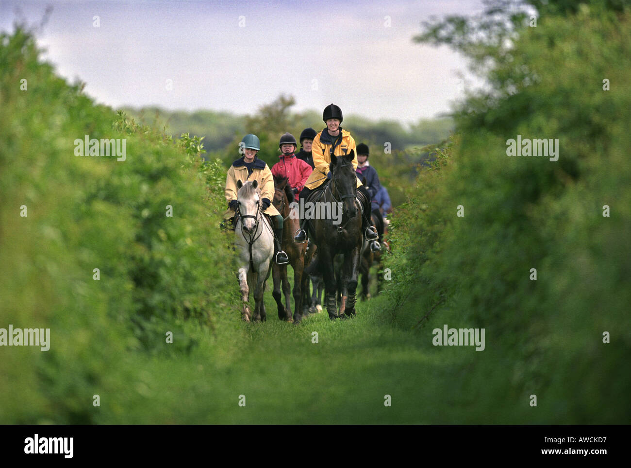 HORSE RIDERS FROM STOCKBRIDGE RIDING SCHOOL ENJOY AN OUTING ON BRIDLE ...