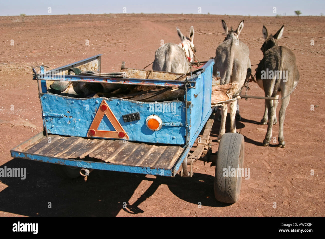 Donkey with trailer hi-res stock photography and images - Alamy