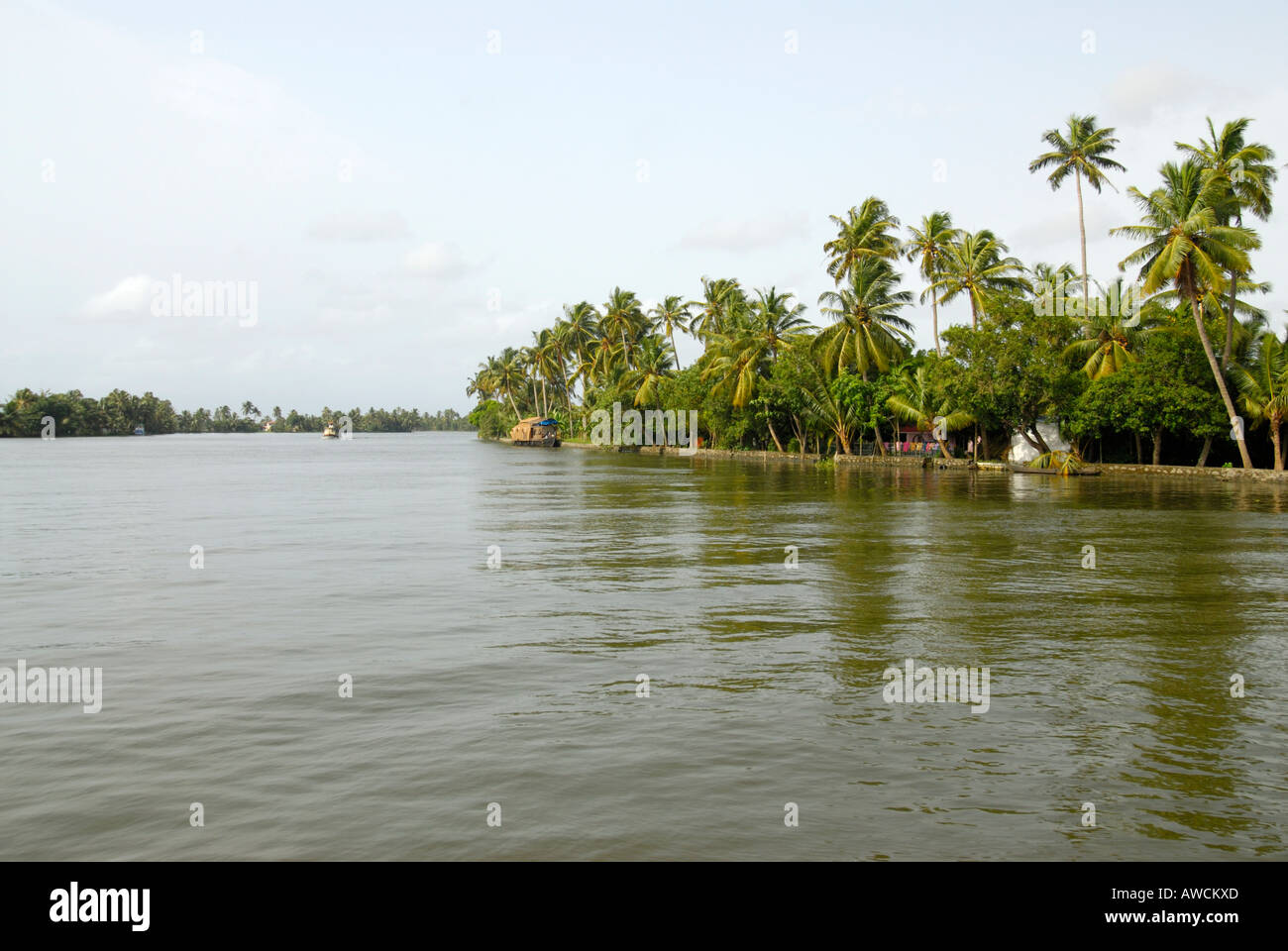 THE BACKWATERS OF ALLEPPEY Stock Photo - Alamy