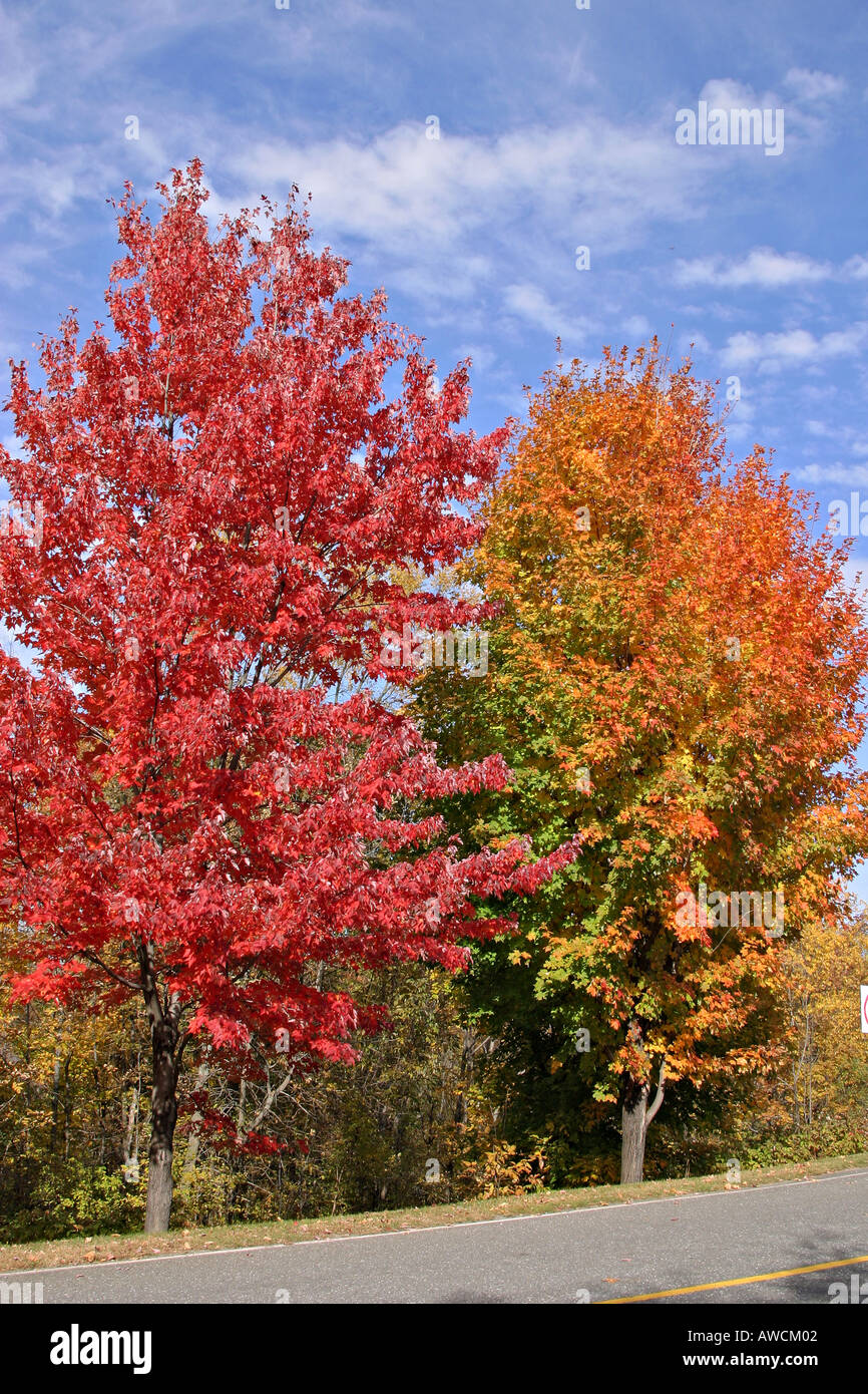 Landscape Autumn in Quebec Canada Stock Photo - Alamy