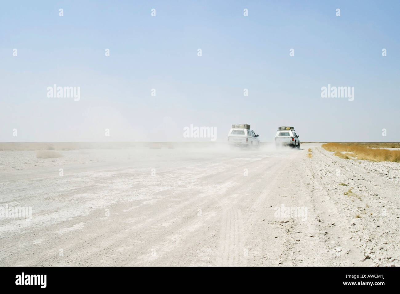 Offroad tour over a big salt pan, Sowa Pan, Makgadikgadi pans, Botswana ...
