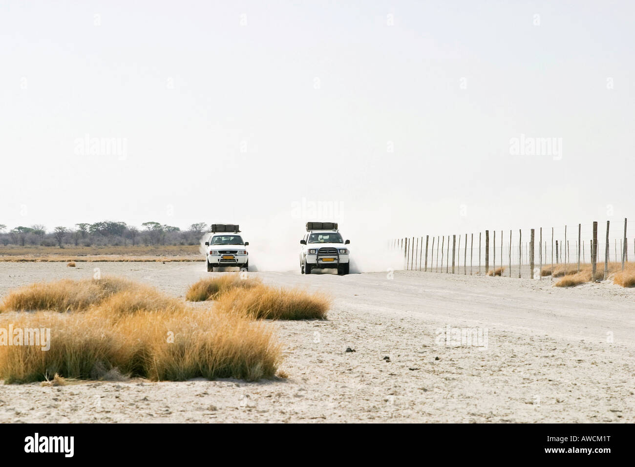 Offroad tour over a big salt pan, Sowa Pan, Makgadikgadi pans, Botswana ...