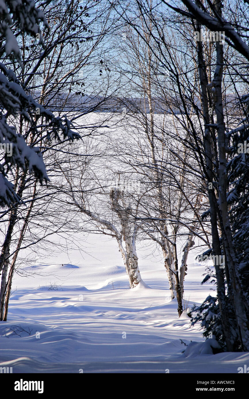 Landscape Winter in Quebec Canada Stock Photo - Alamy