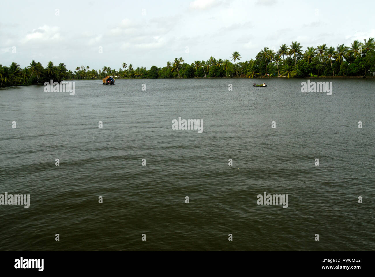 THE BACKWATERS OF ALLEPPEY Stock Photo - Alamy