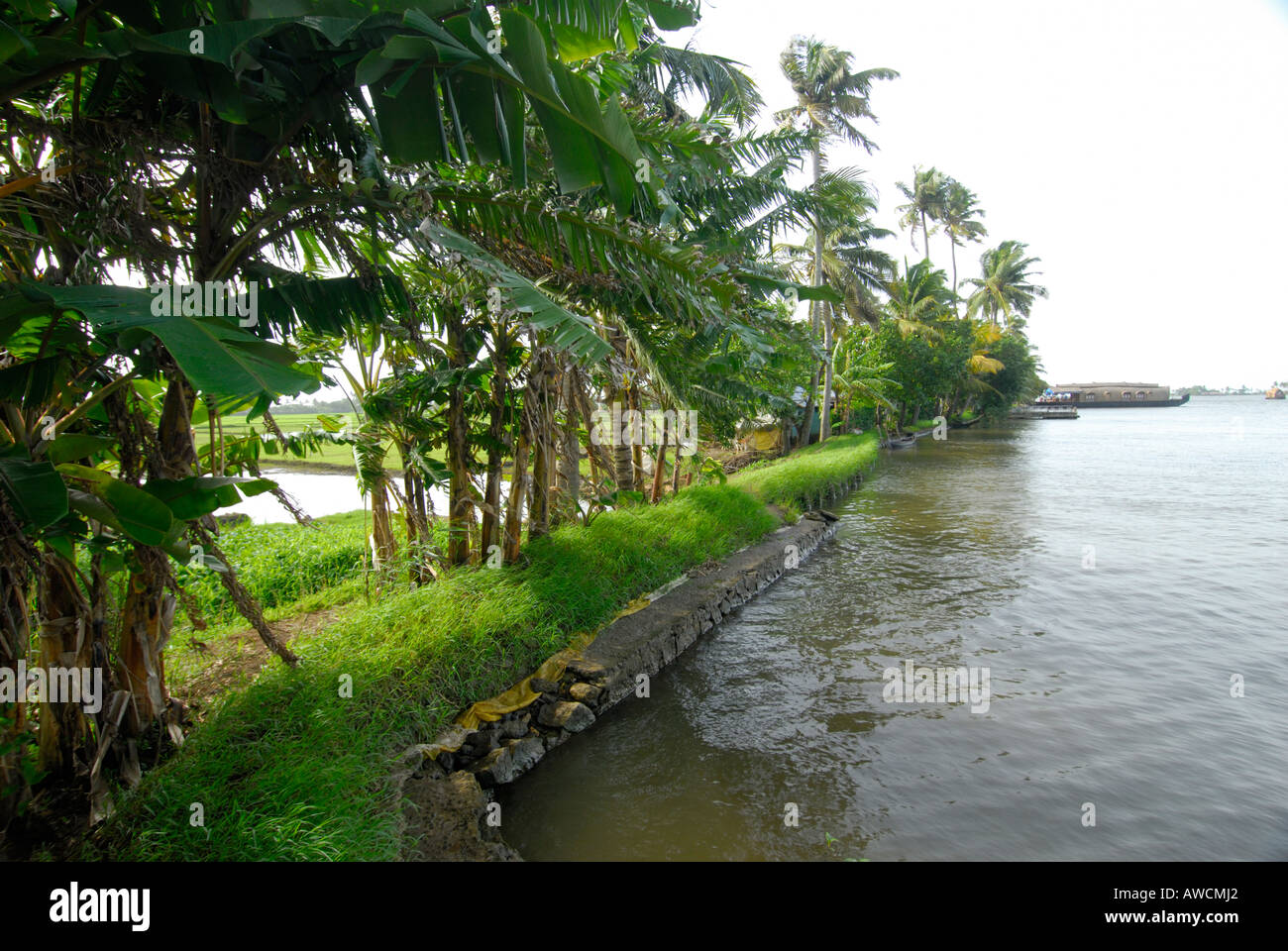 THE BACKWATERS OF ALLEPPEY Stock Photo - Alamy