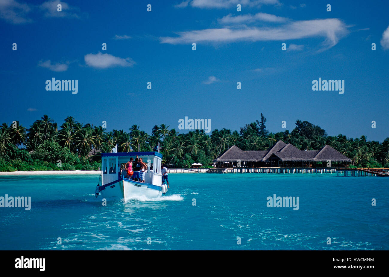 Trip with the Diving Dhoni Maldives Indian Ocean Medhufushi Meemu Atoll ...