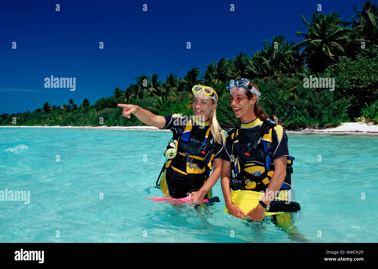 Diving at Maldives Maldives Indian Ocean Medhufushi Meemu Atoll Stock ...