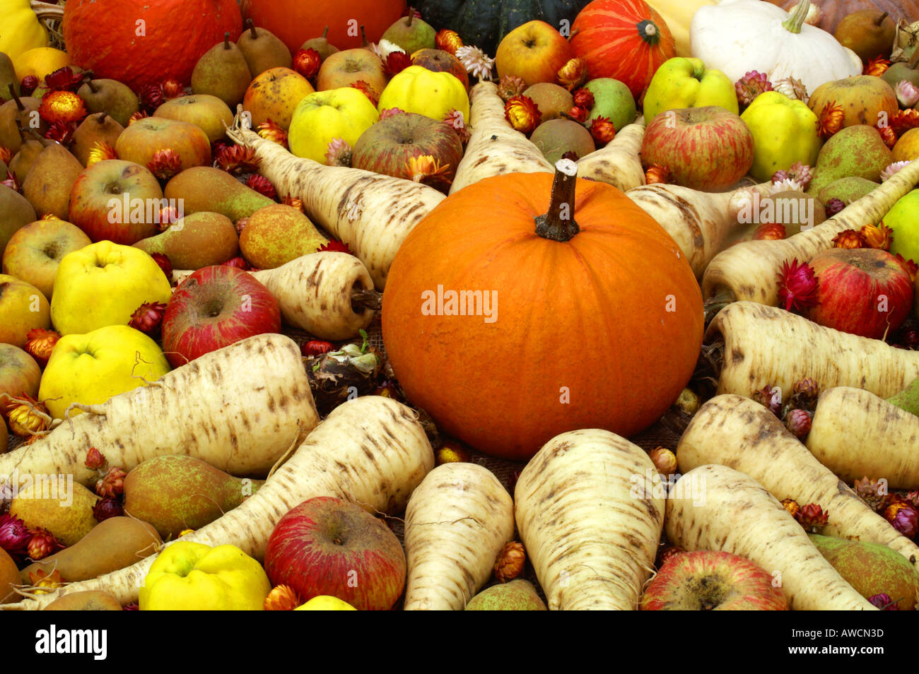 Harvest festival display hi-res stock photography and images - Alamy