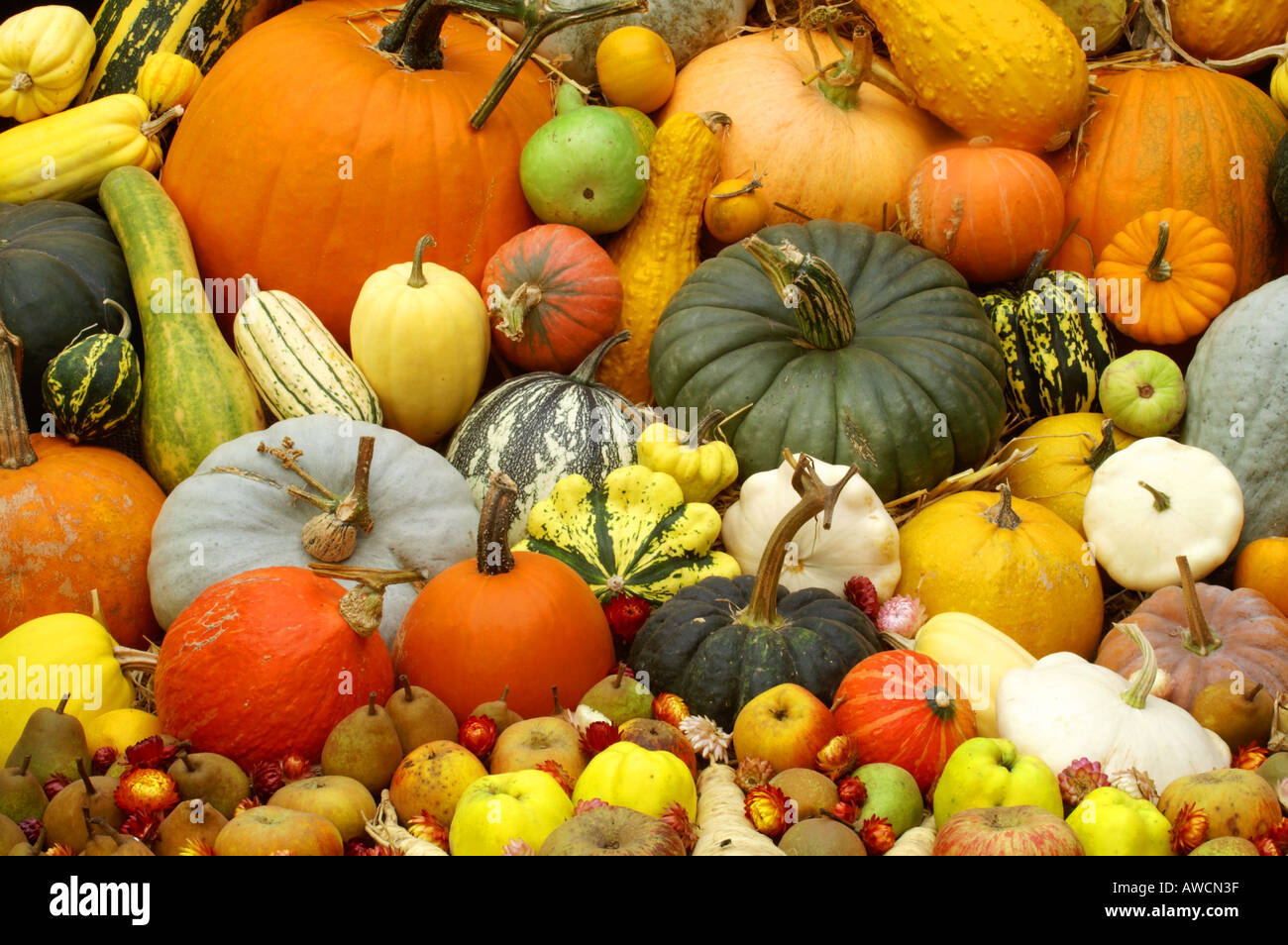 Heligan harvest festival display Cornwall autumn 2005 Stock Photo - Alamy