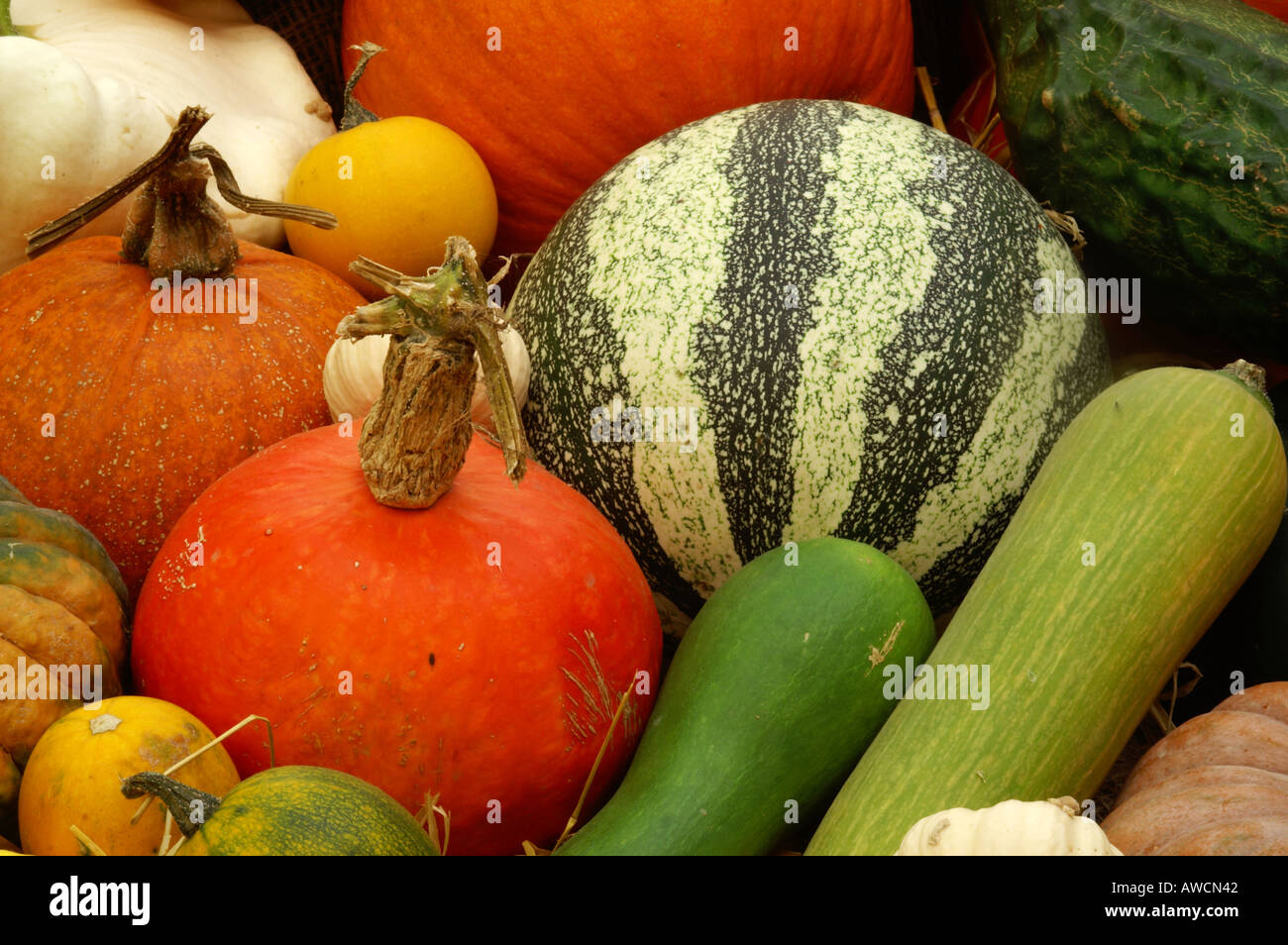 Heligan harvest festival display Cornwall autumn 2005 Stock Photo - Alamy