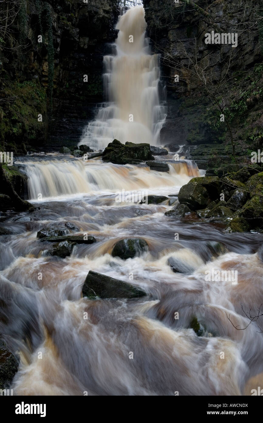Mill Gill Force near Askrigg in Wensleydale Stock Photo - Alamy