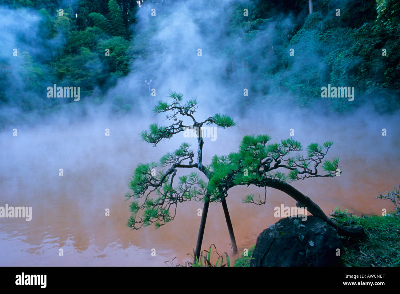 Japan Kyushu Beppu geothermal activity Stock Photo - Alamy