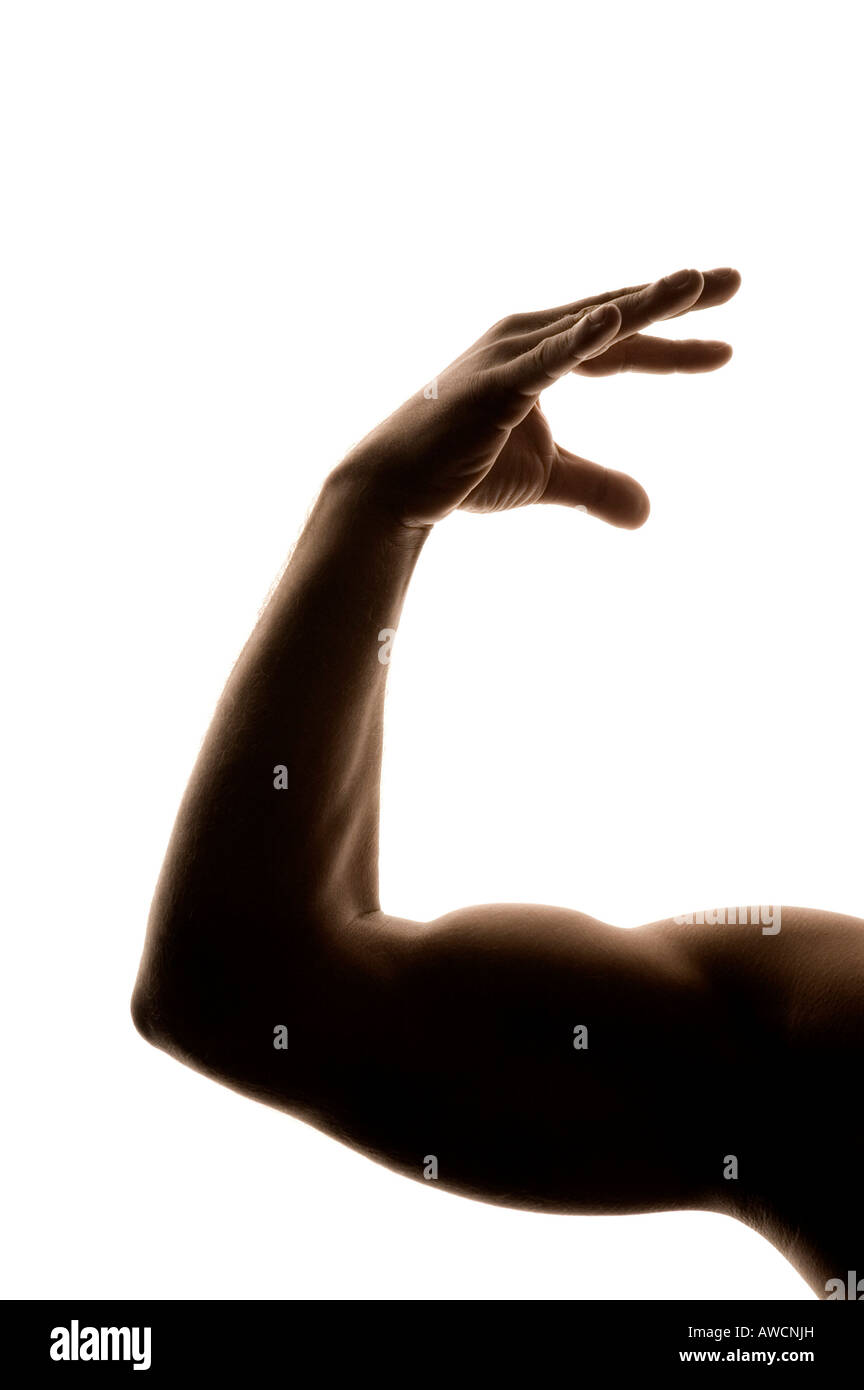Male muscle arm hand hi-res stock photography and images - Alamy