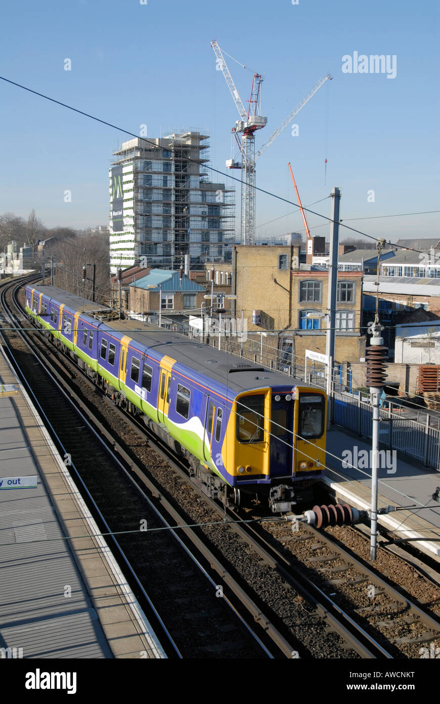 Bull trains hi-res stock photography and images - Alamy