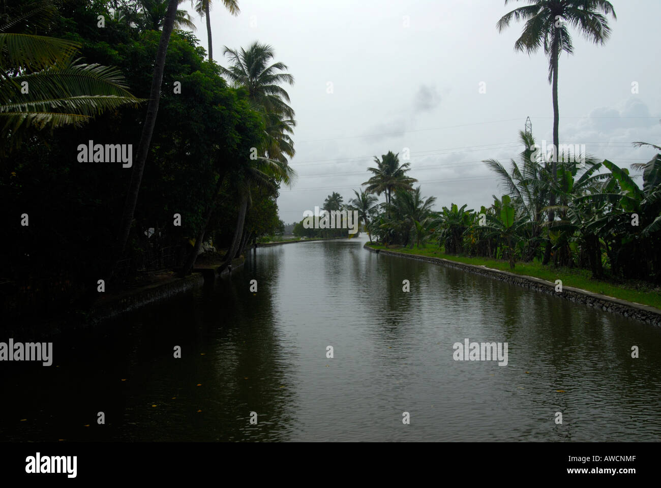 THE BACKWATERS OF KAINAKARI ALLEPPEY Stock Photo - Alamy