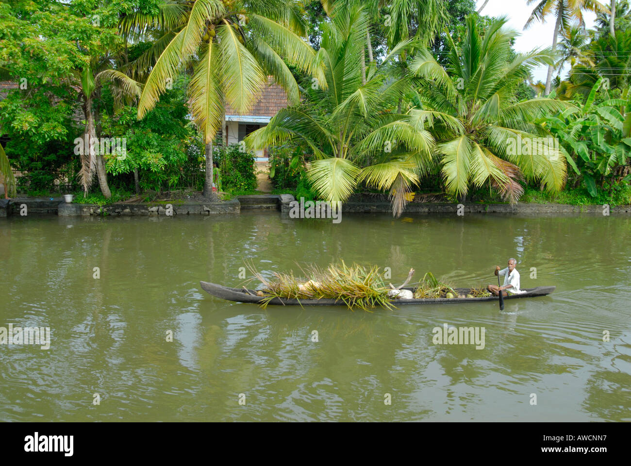 THE BACKWATERS OF KAINAKARI ALLEPPEY Stock Photo - Alamy