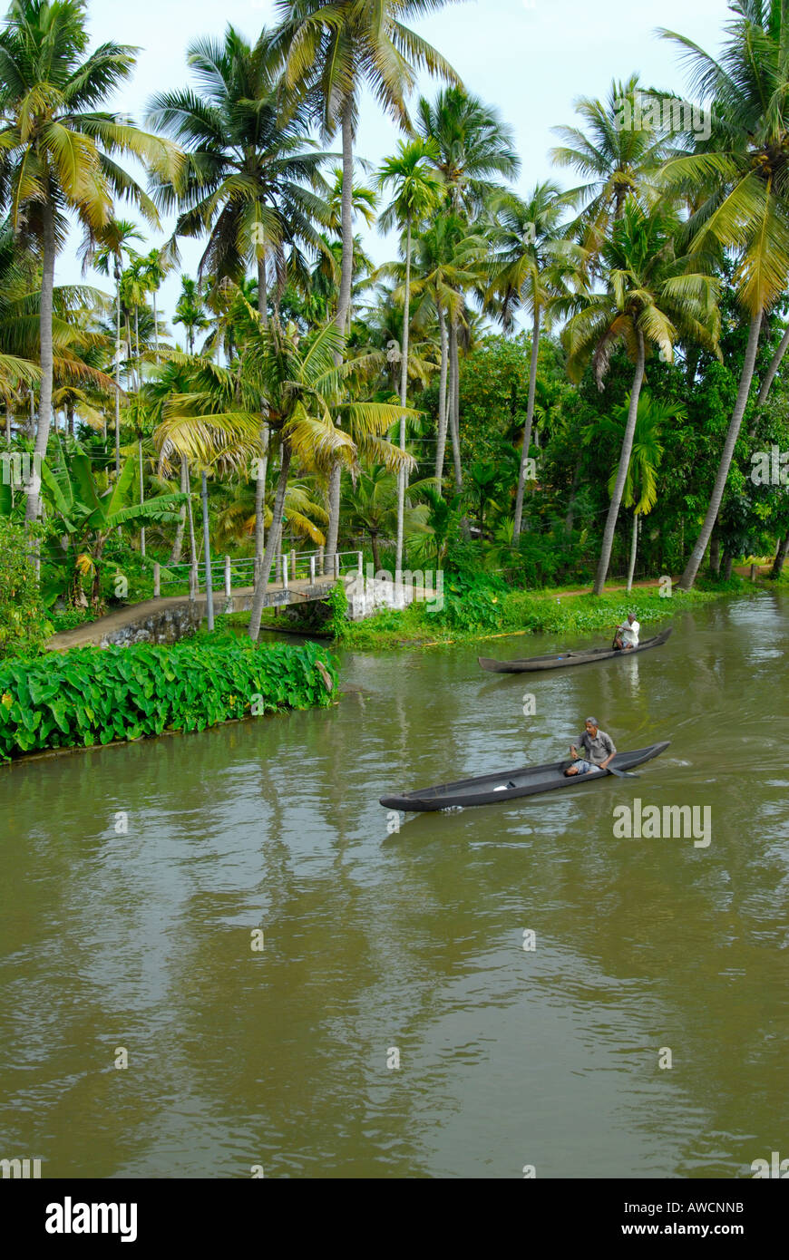 THE BACKWATERS OF KAINAKARI ALLEPPEY Stock Photo - Alamy