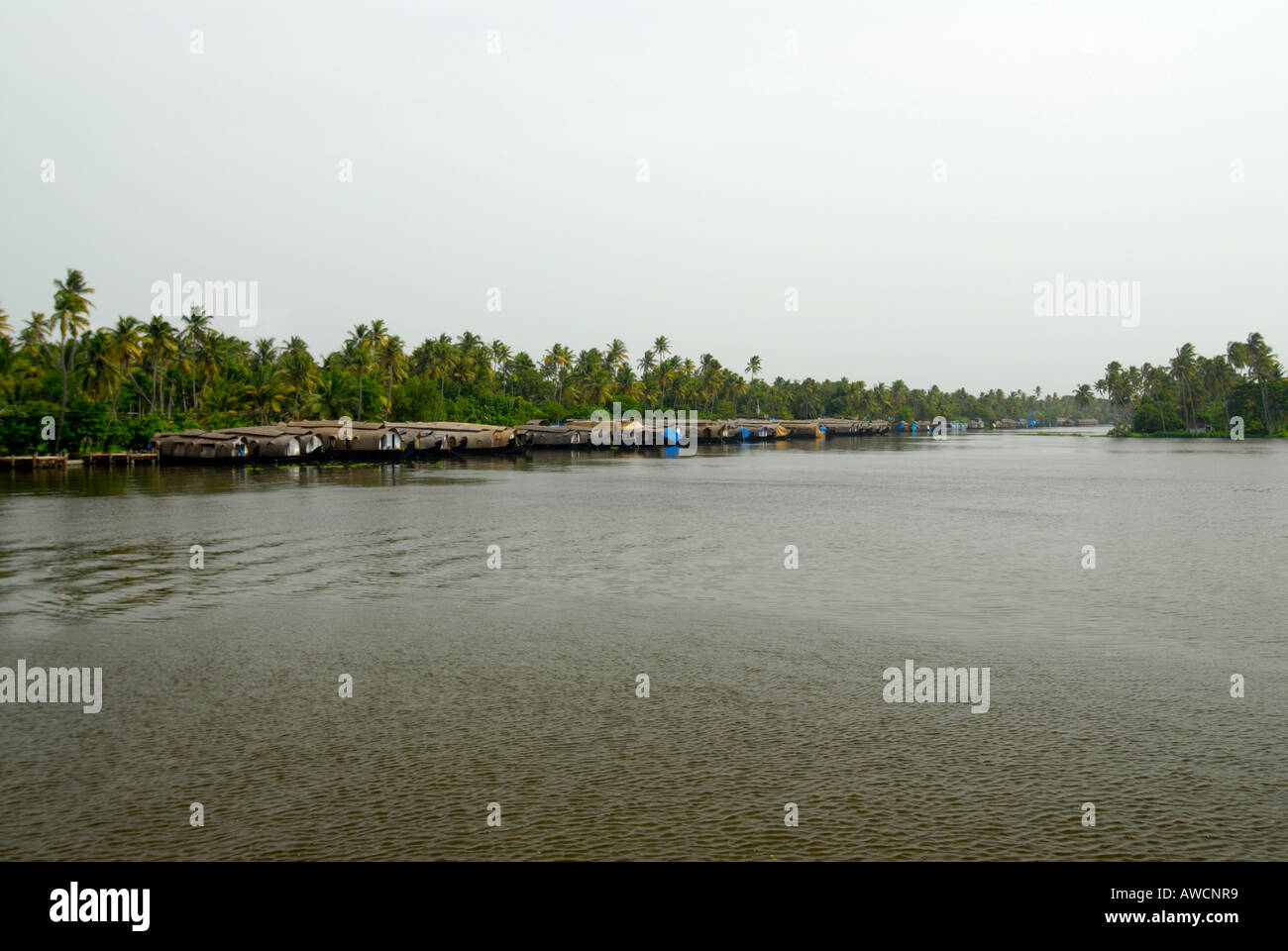 THE BACKWATERS OF ALLEPPEY Stock Photo - Alamy