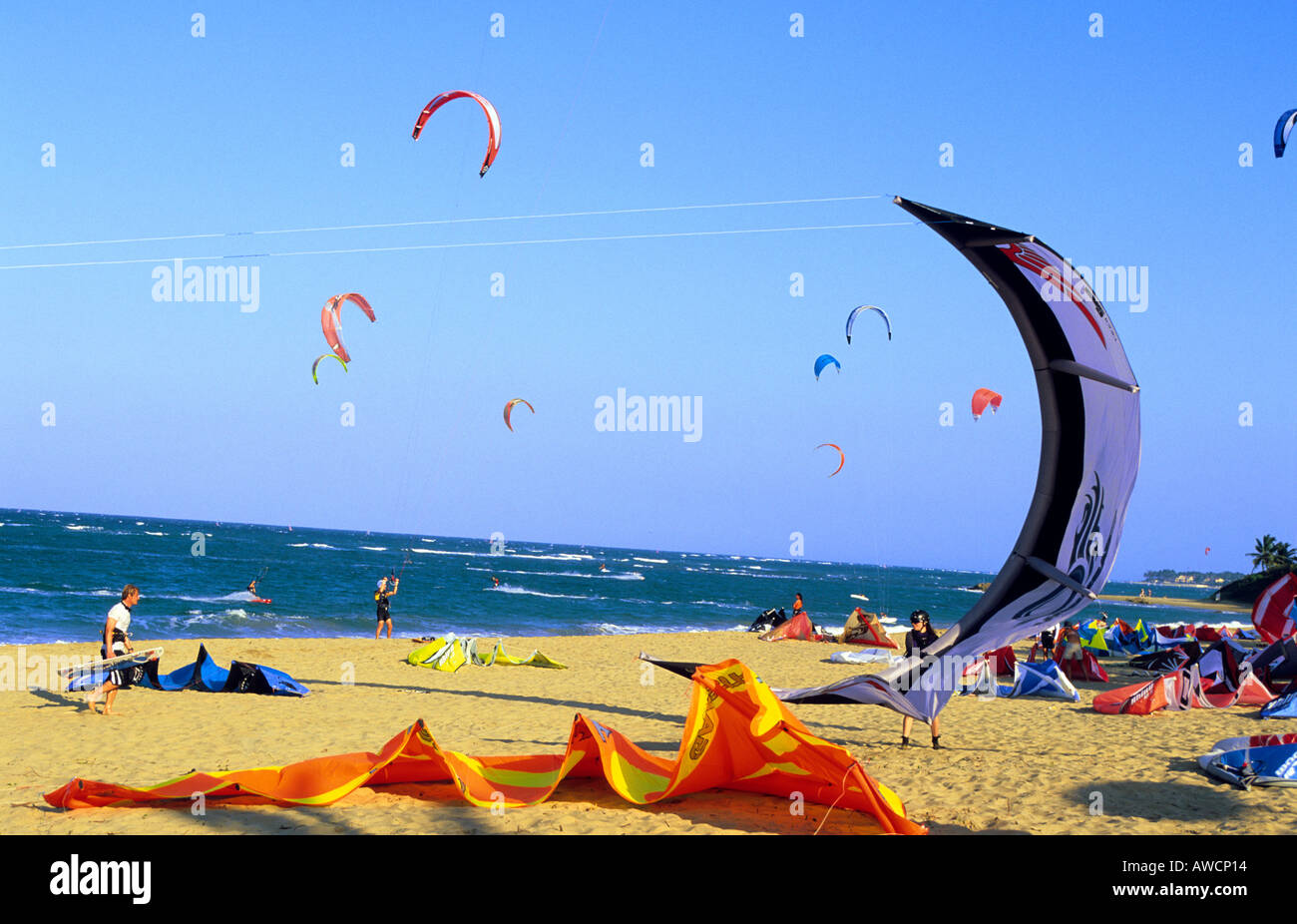 caribbean dominican republic north coast kite surfing on cabarete beach ...