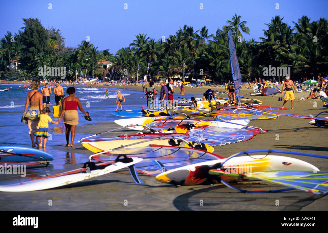 caribbean dominican republic north coast wind surfing on cabarete beach ...