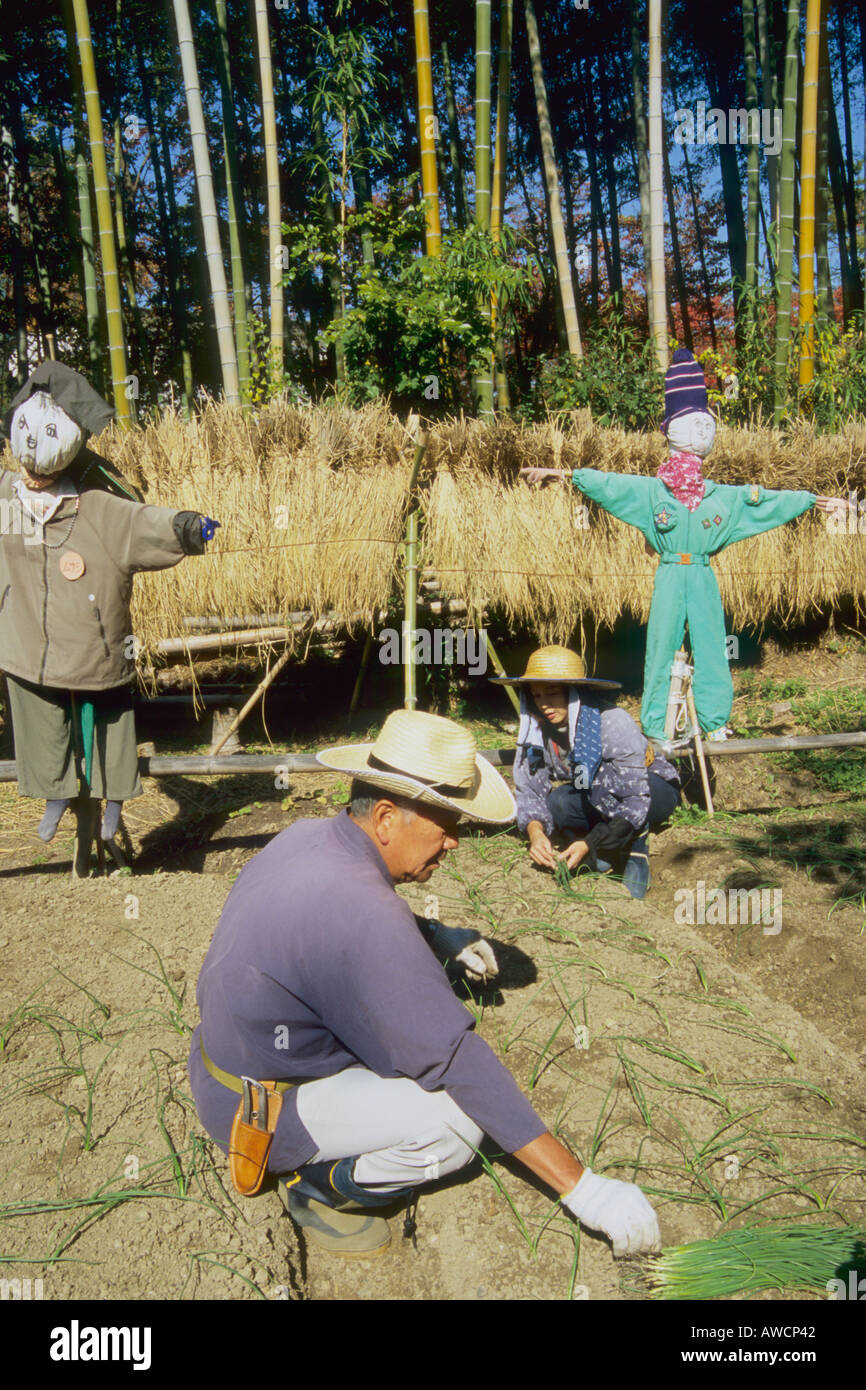 Farm work japan hi-res stock photography and images - Alamy