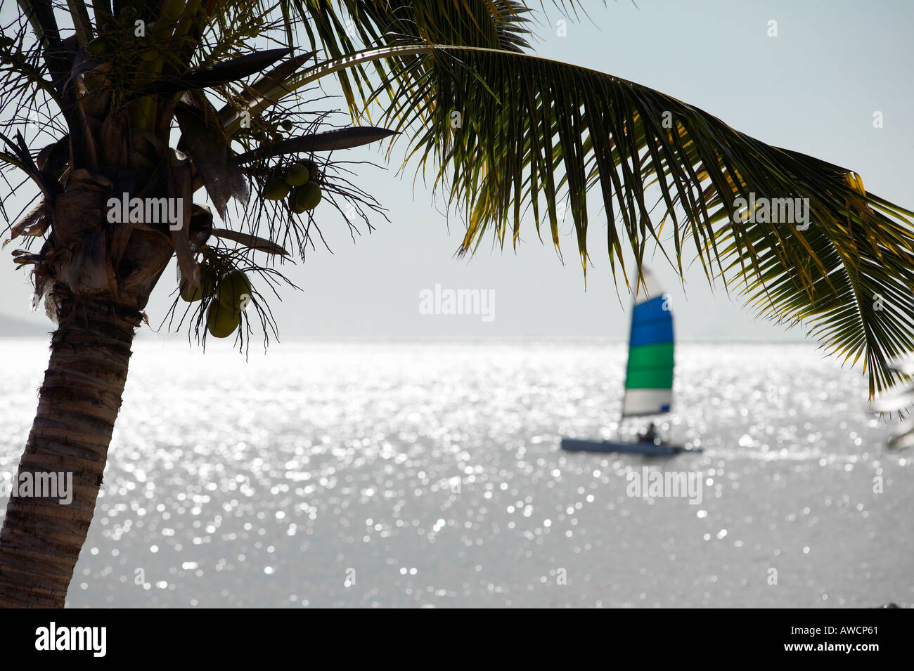 Sonaisali fiji hi-res stock photography and images - Alamy