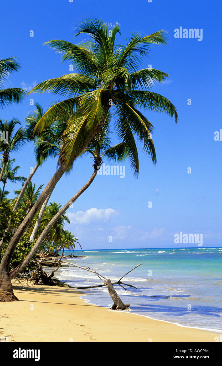 caribbean dominican republic north coast el portillo beach Stock Photo ...