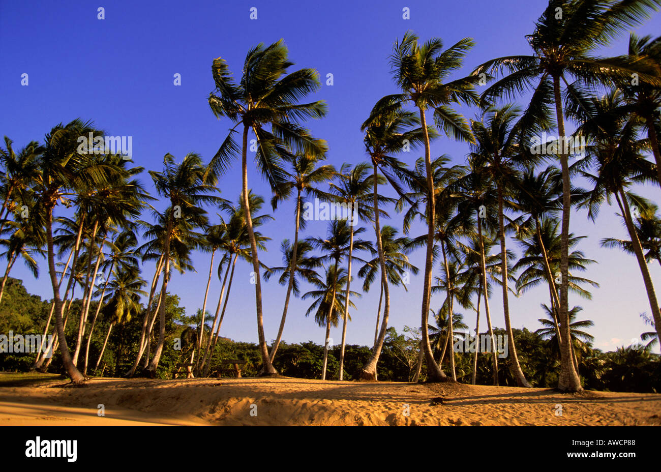 caribbean dominican republic north coast el rincon beach Stock Photo ...