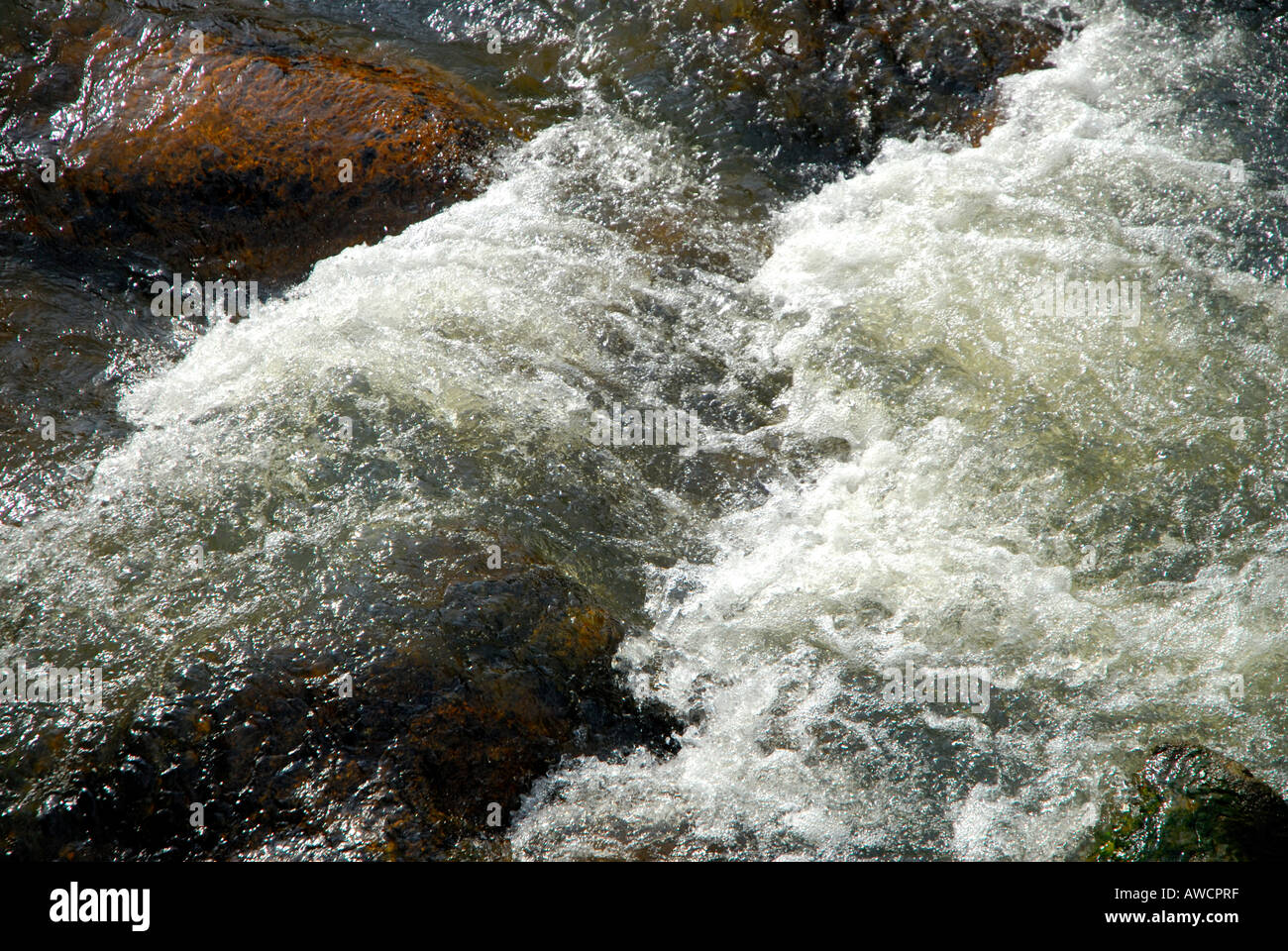 Trivandrum river hi-res stock photography and images - Alamy