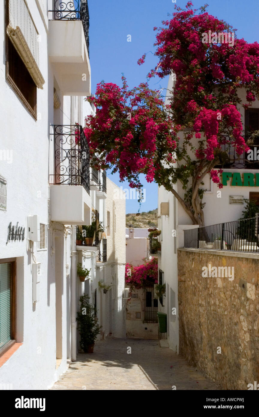 Traditional narrow street in Mojacar Playa & Pueblo, Costa Almeria ...