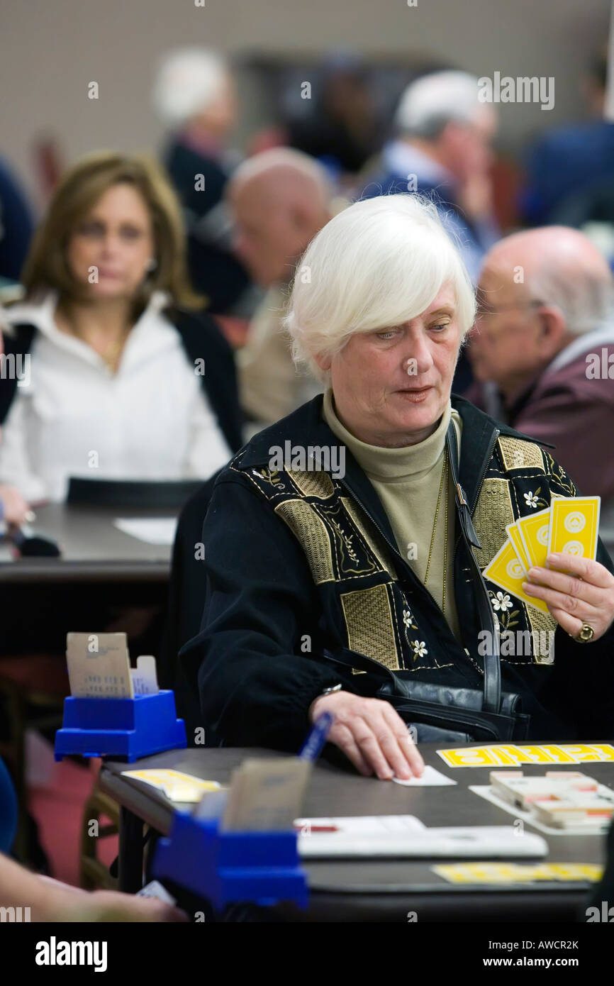 Contract Bridge Card Game Stock Photos & Contract Bridge Card Game ...