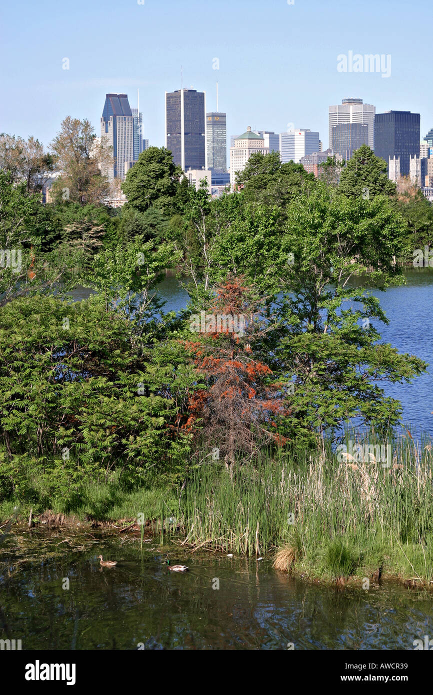 Montreal river habour hi-res stock photography and images - Alamy