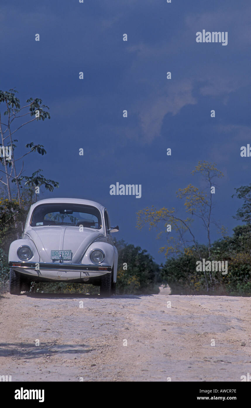 zyx VW Beetle Bug on country road Quintana Roo Yucatan Peninsula Mexico ...
