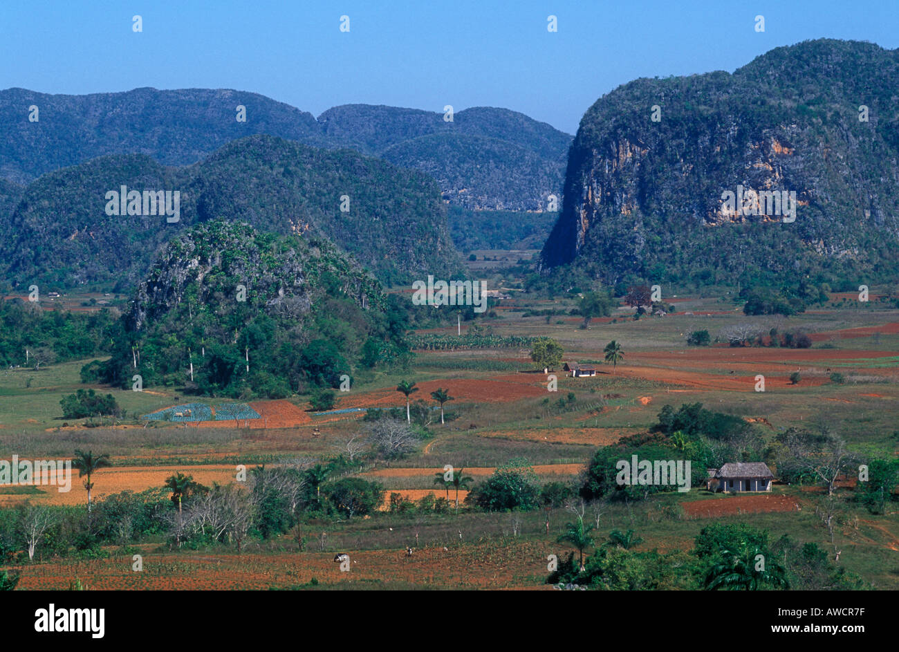 Los mogotes hi-res stock photography and images - Alamy