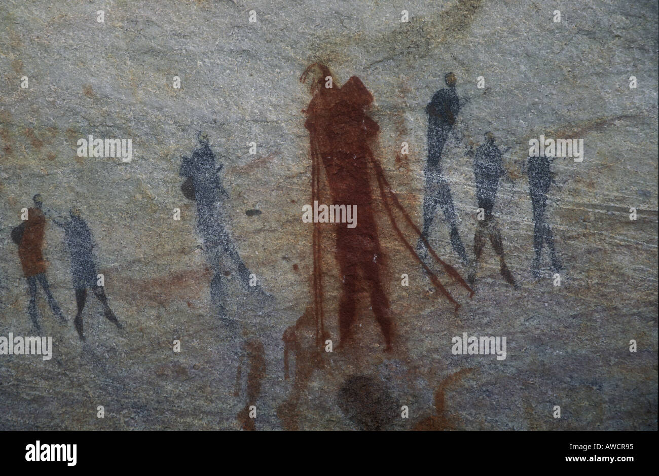 Bushman or San cave paintings Bushmanskloof Western Cape South Africa ...