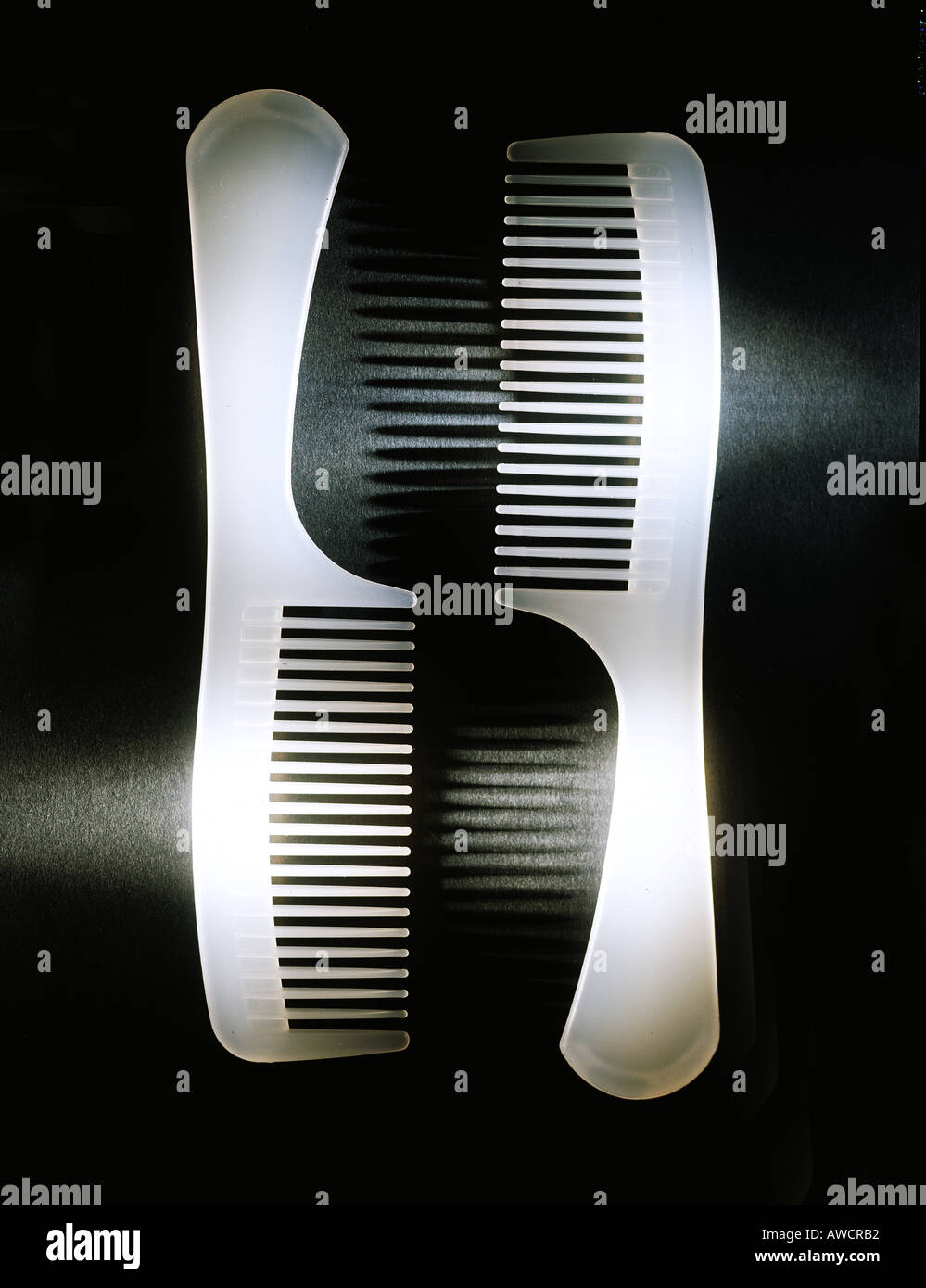 Straighten the tail hi-res stock photography and images - Alamy